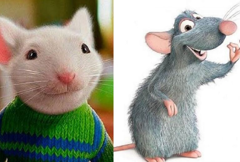 Stuart o Remy: ¿Quién ganaría en una pelea? | Voces Criticas - Salta ...