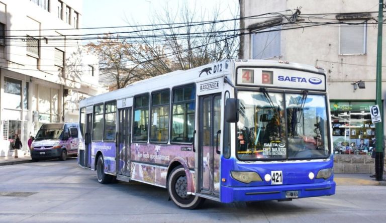 Servicio de SAETA: con qué frecuencia pasarán los colectivos este ...